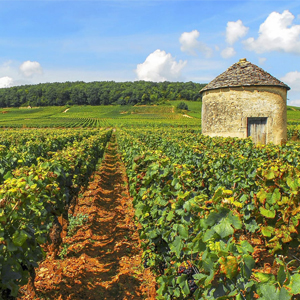Burgundy Walking Tour | Small Group Walking Tour in Burgundy | Route Du ...