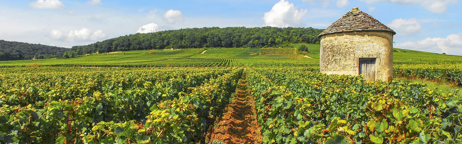 Burgundy Walking Tour | Small Group Walking Tour in Burgundy | Route Du ...