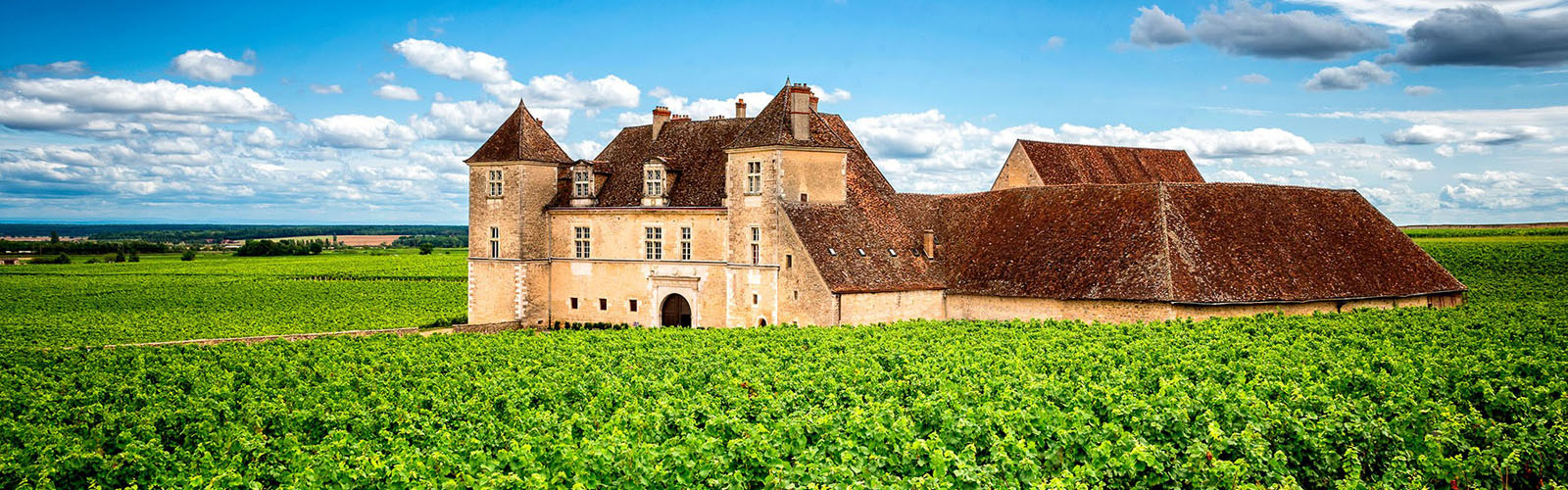 Burgundy Walking Tour | Small Group Walking Tour in Burgundy | Route Du ...